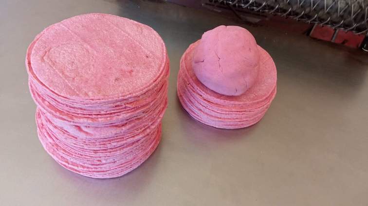 Tortilla rosa en conmemoración del día de la mujer | Municipios Yucatán